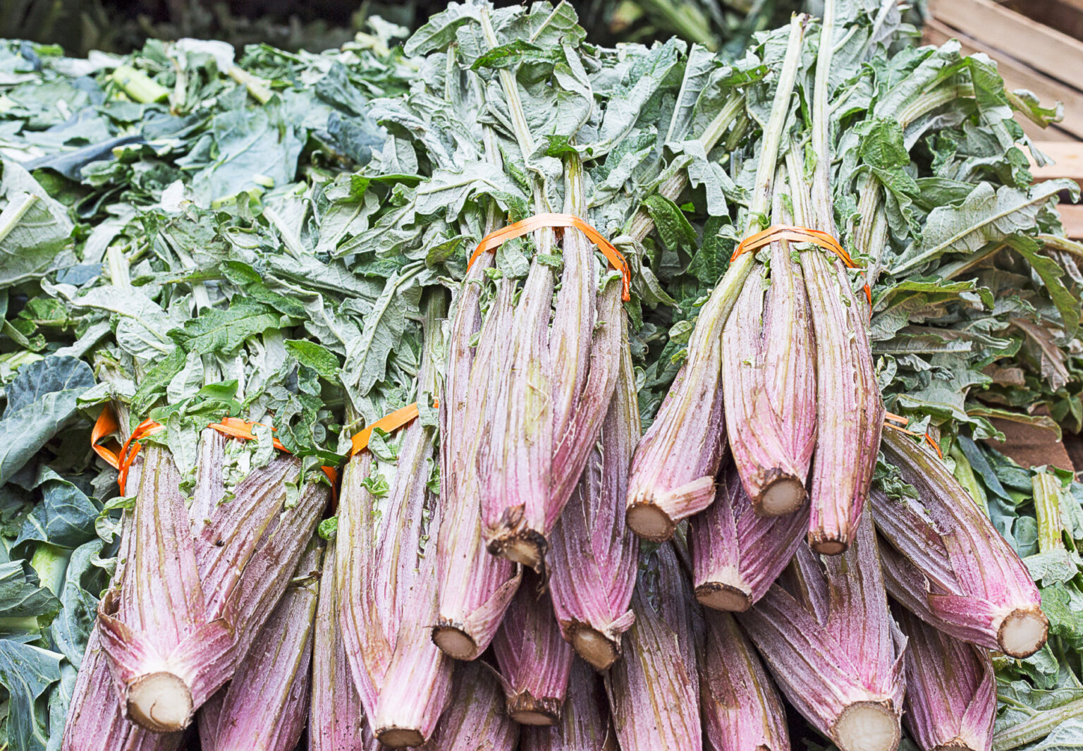 Qué beneficios tiene el cardo