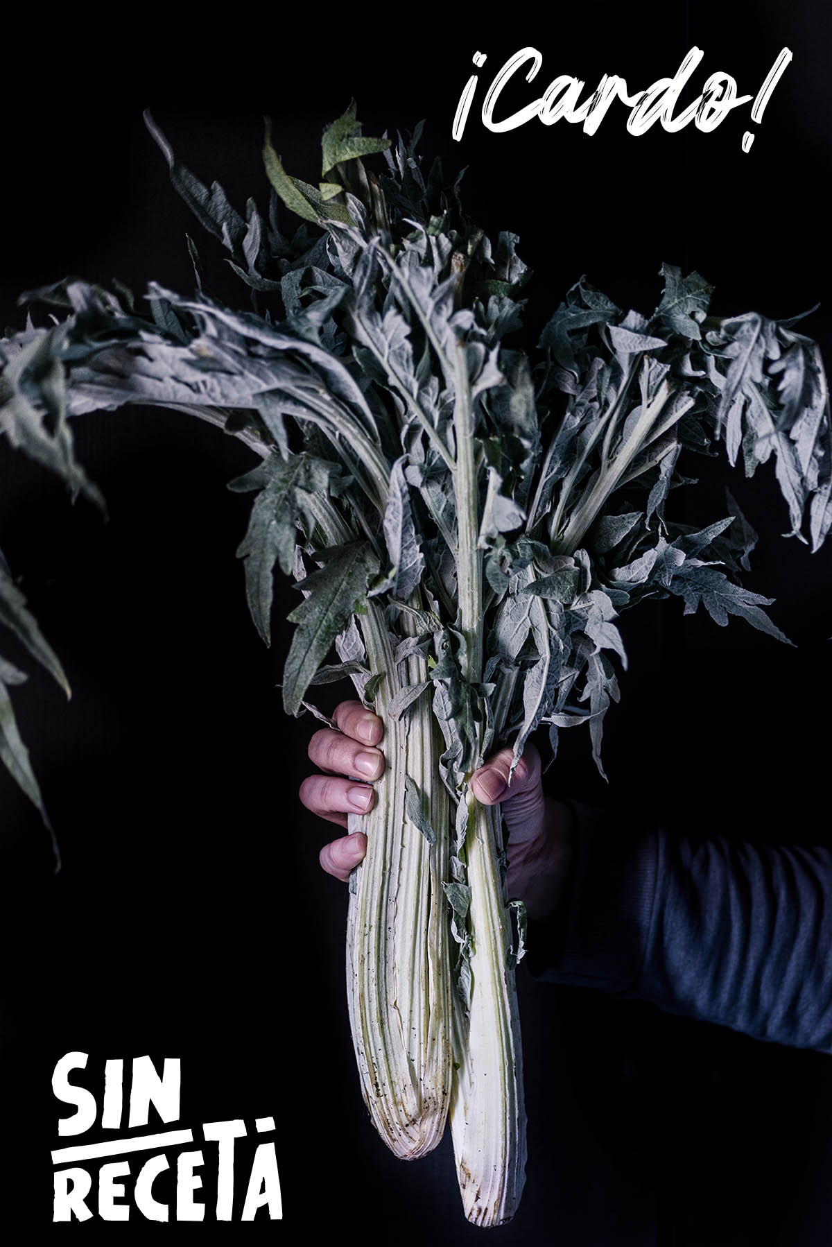 Qué fruto da el cardo